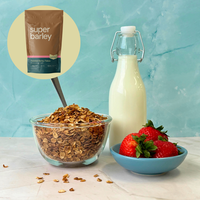 BARLEYMAX Super Barley | Australian Prebiotic for Gut Health – Elevate ...